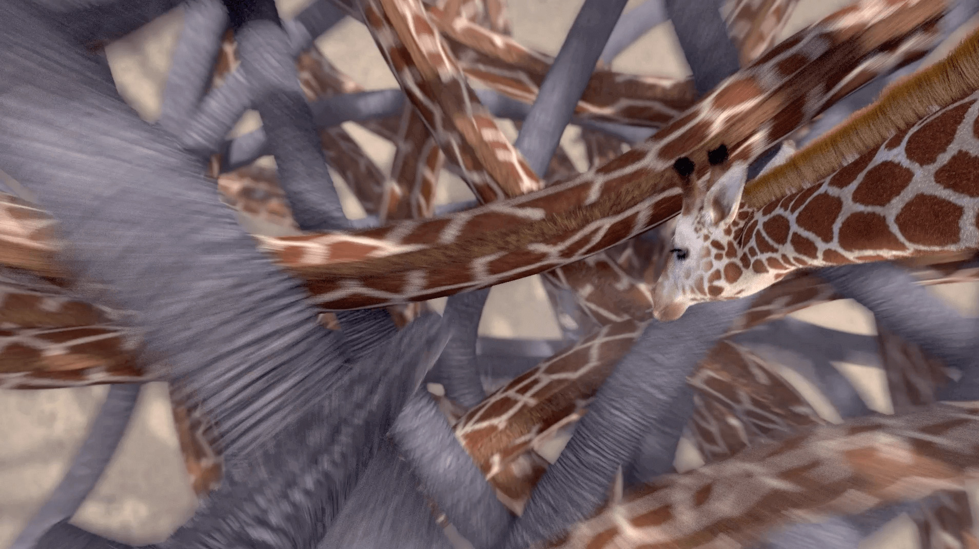 WWF - Elephant vs. Giraffe